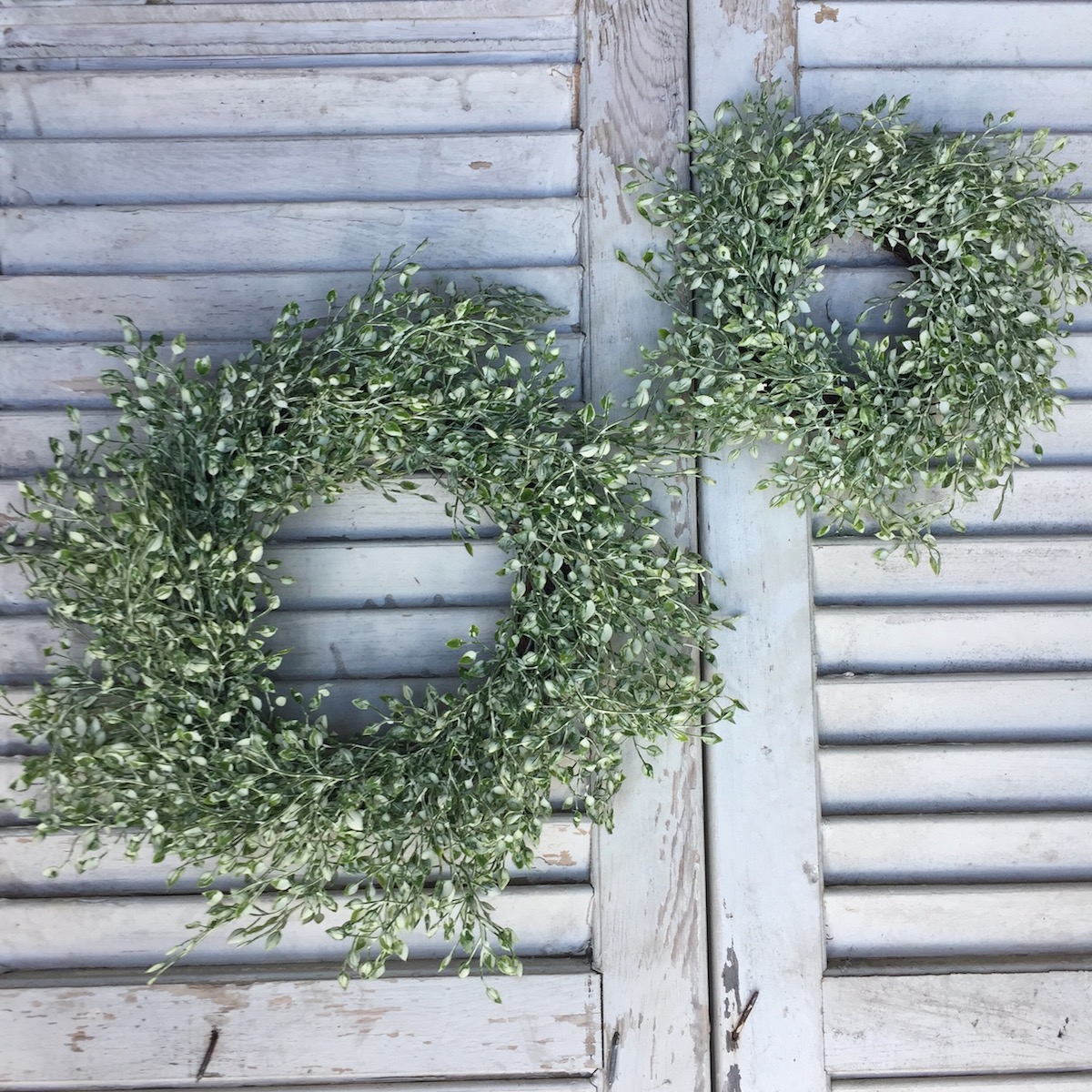 Little Luna 13" Wreath Greenery - Cornucopia