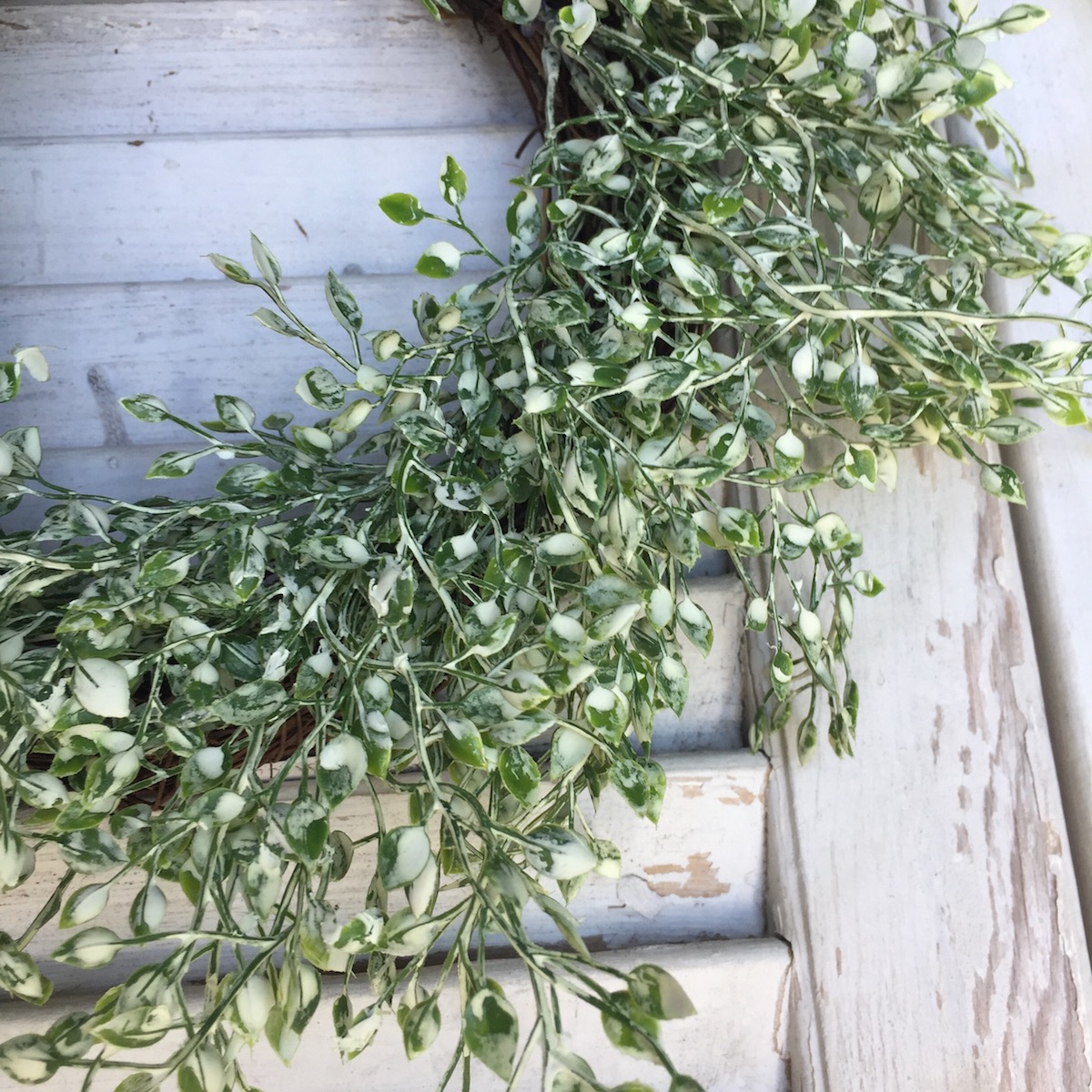 Little Luna 13" Wreath Greenery - Cornucopia