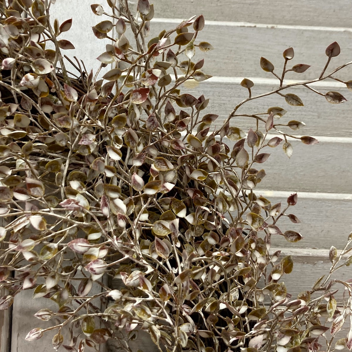Little Luna Rusty Brown Foliage Large Wreath - Cornucopia
