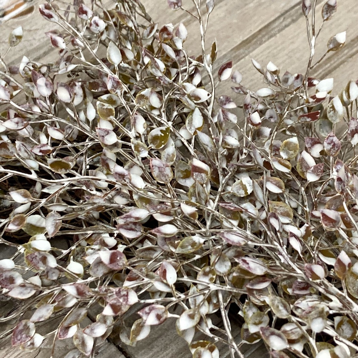 Little Luna Rusty Brown Foliage Large Wreath - Cornucopia
